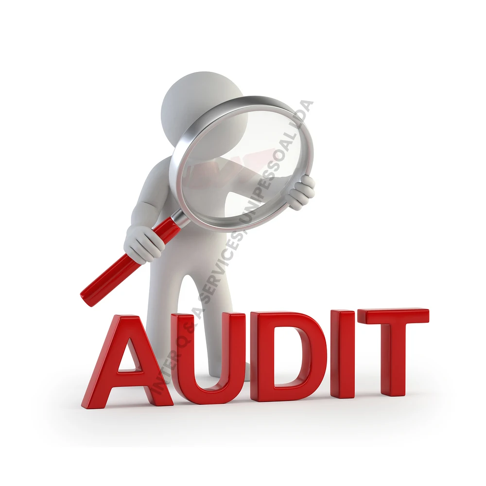 Professional Independent Supplier Factory Audit Service Detailed ...