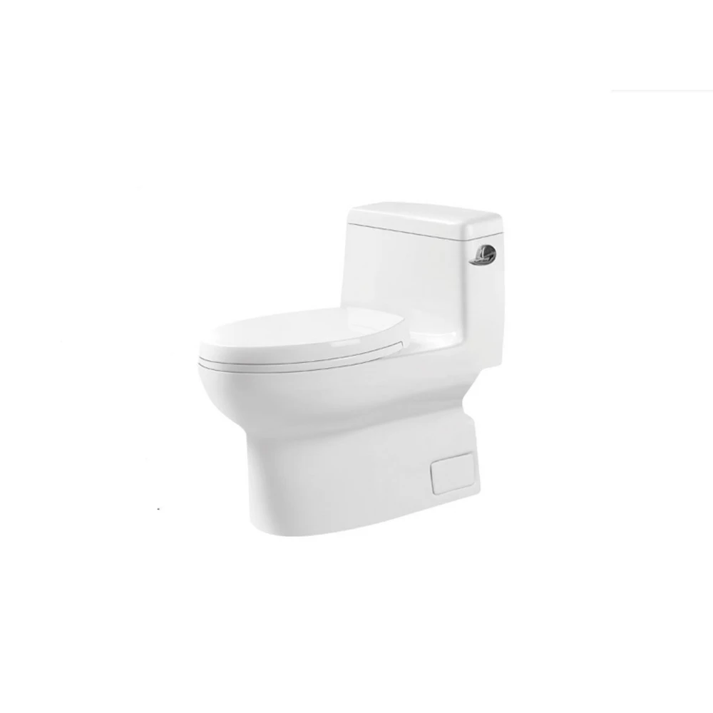 Modern Wc Single Flush Sitting Water Closet Floor Mounted Ceramic ...