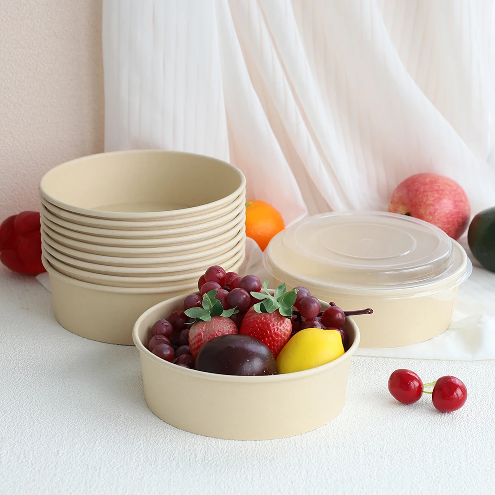 Dayupack Customizable Biodegradable Heatable Paper Ramen Bowl for ...