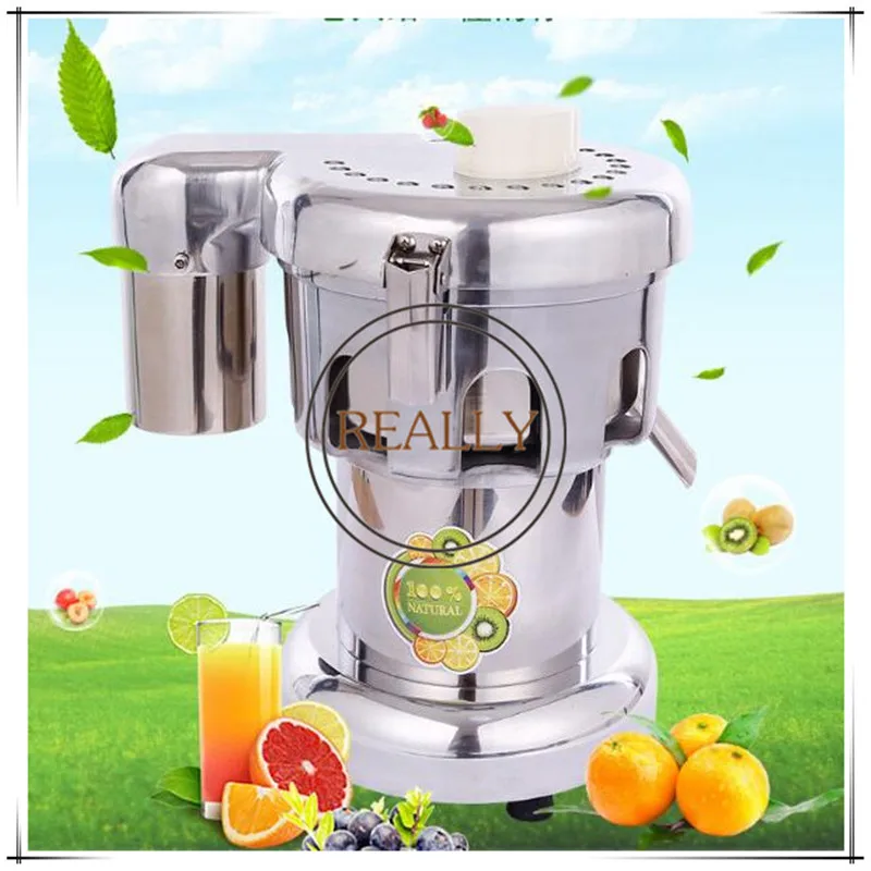 Oem Commercial Small Scale Fruit Squeeze Blender Machine Apple Juicer ...