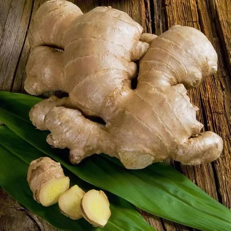 Fresh Ginger Dried Ginger Export From China - Buy 2022 Fresh Ginger ...