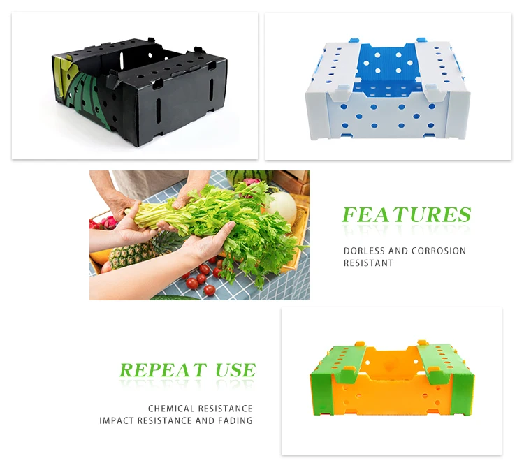 4kgs 5kgs 7kgs Fresh Okra Pp Packing Corrugated Plastic Box - Buy ...