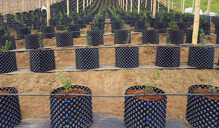 YUBO 20 Gallon Air Pruning Grow Plant Container - Eco-friendly