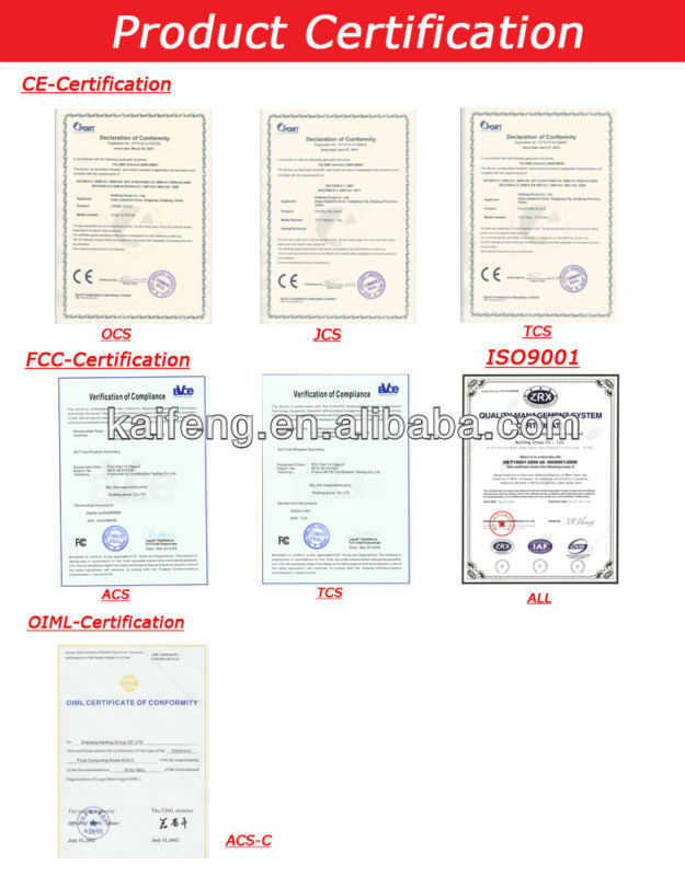 Tcs-a4 Tcs Series Of Electronic Platform Scale With Back Rail From ...