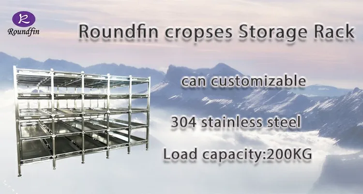 L Dead Body Storage Coffin Rack Tier Movable Coffin Mortuary Shelves ...