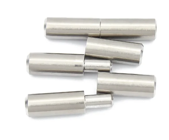 Stainless Steel Door Axle Cylindrical Pivot Rotary Welded Heavy Duty ...