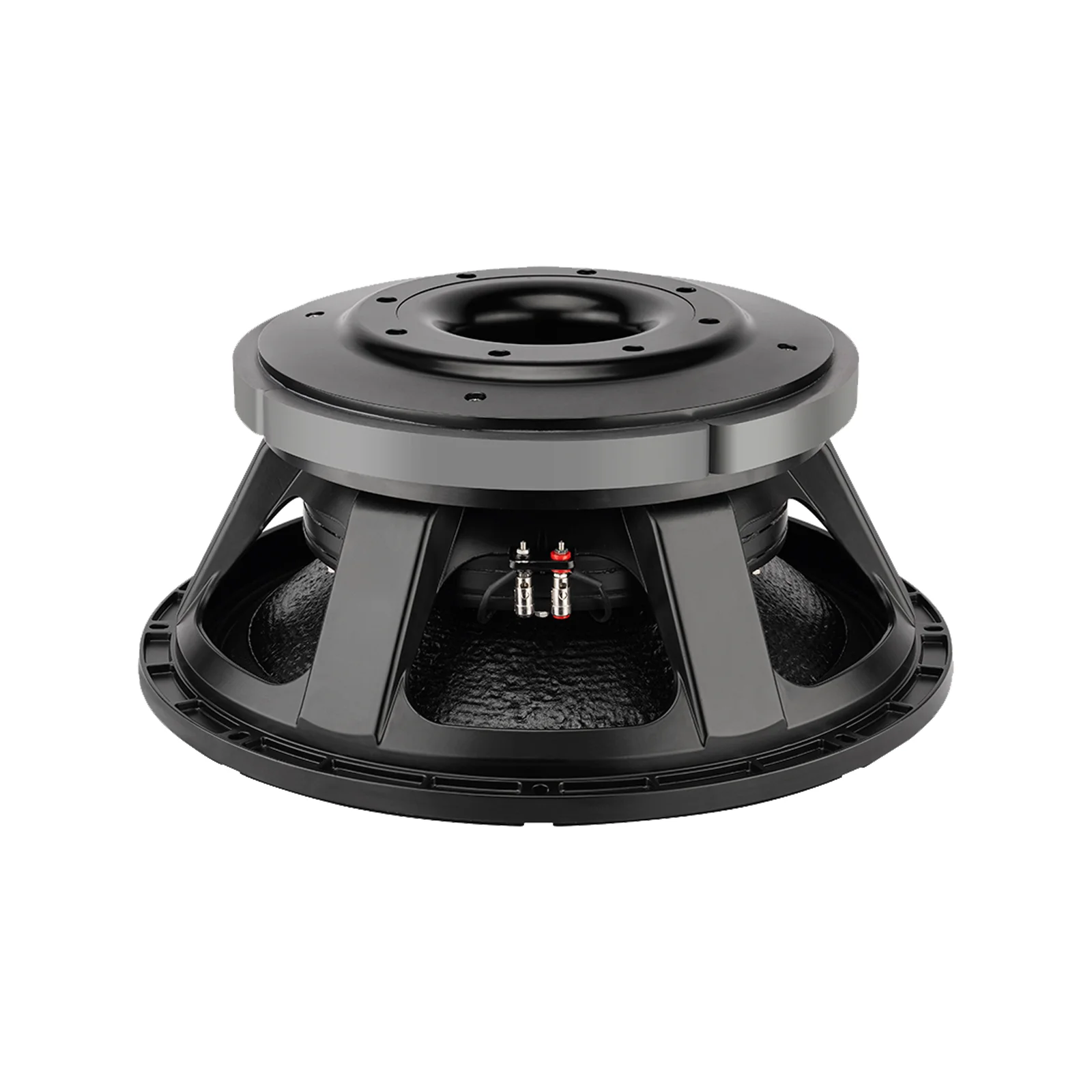 21 Inch Subwoofer Speaker - 5000W Dual Magnet Powerhouse