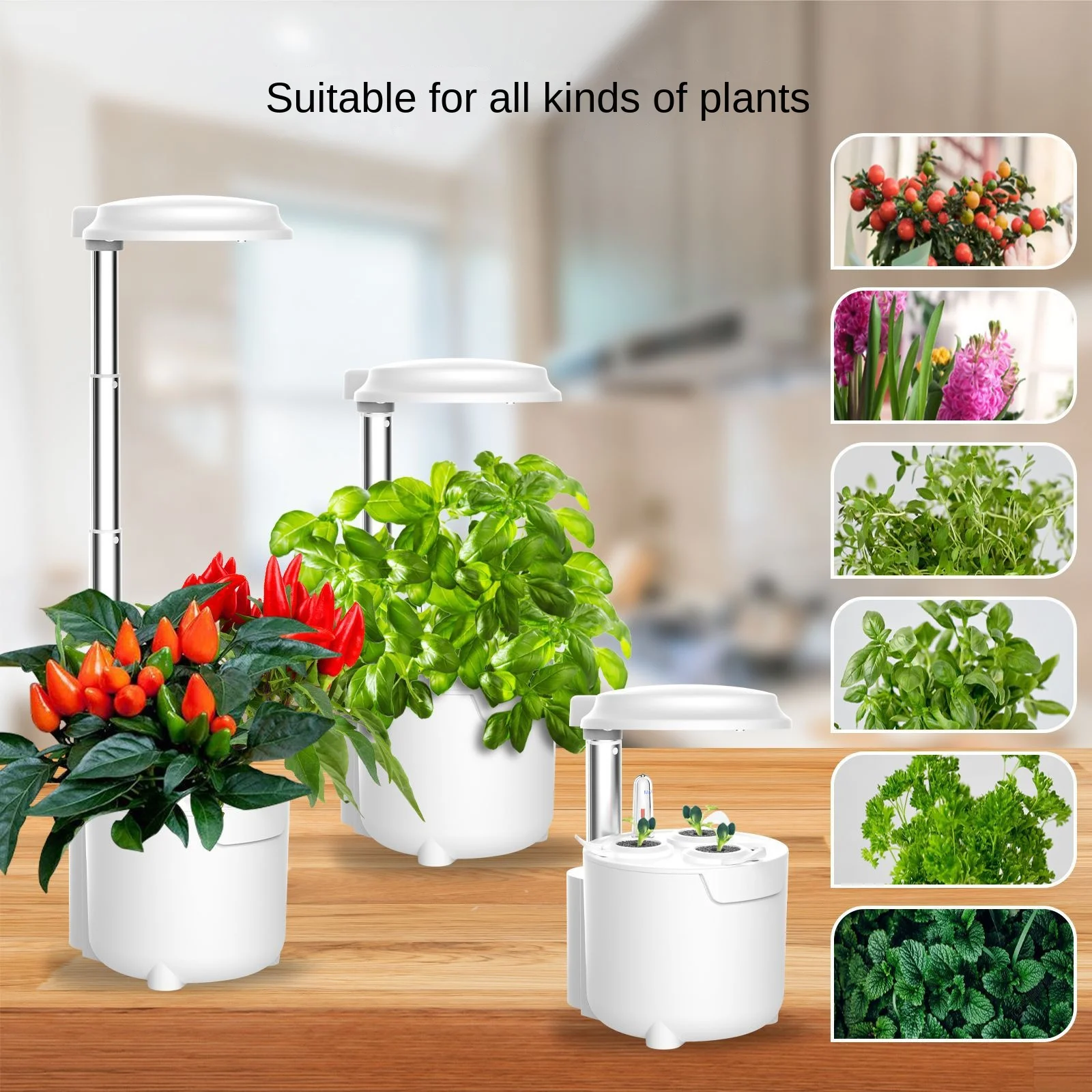 High Quality Hot Smart Garden Desktop Small Ornamental Plants Small ...