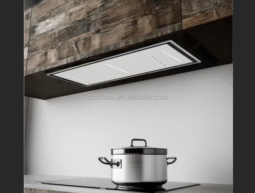 Built in Range Hood Ceiling Mounted Cooker Hood - Low Noise