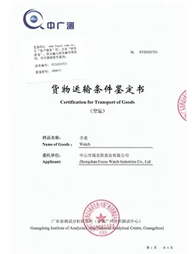 Company Overview - Shenzhen Guanhao Technology Co., Ltd.