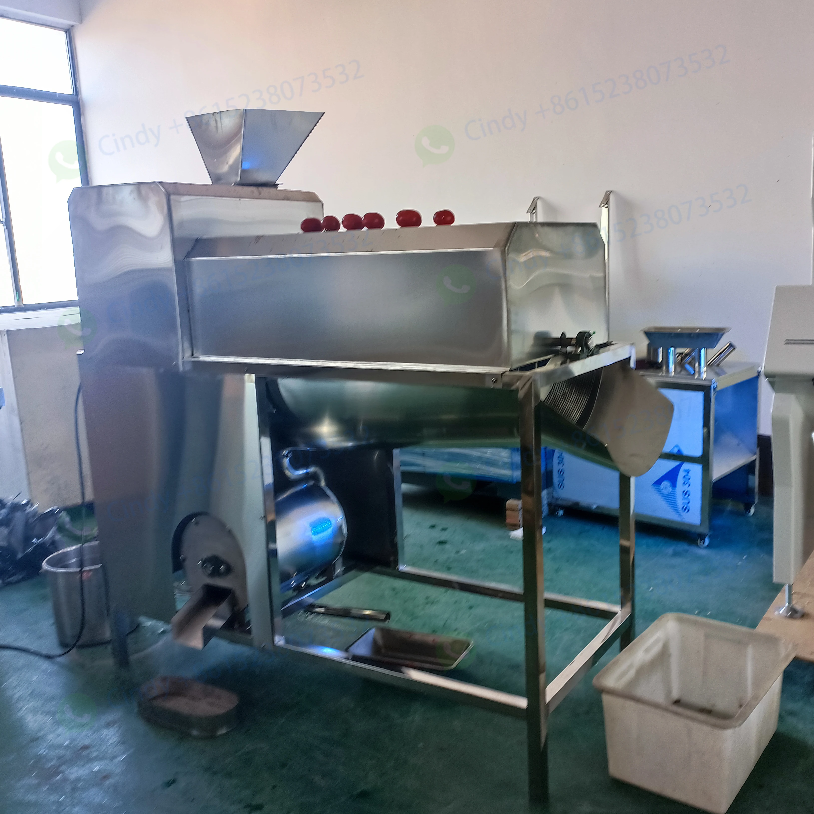 Tomato Seed Remover - Efficient and Durable Machine