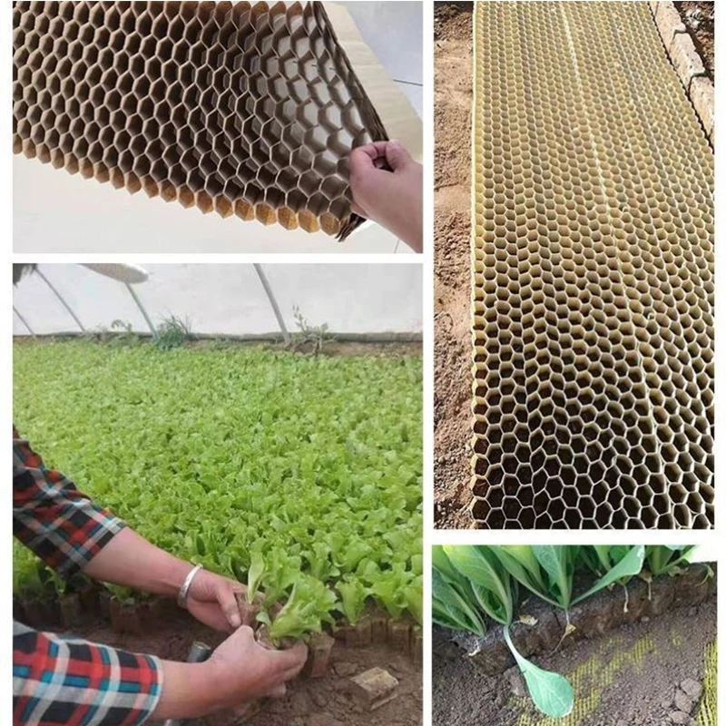 Eco Friendly Seedling Paper Chain Pots Biodegradable Foldable Seeding ...