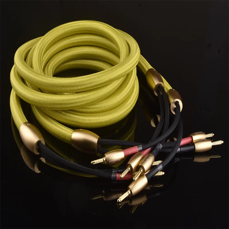 Accuphase Audio Speaker Cable - Hifi with Gold Plated Banana Plug