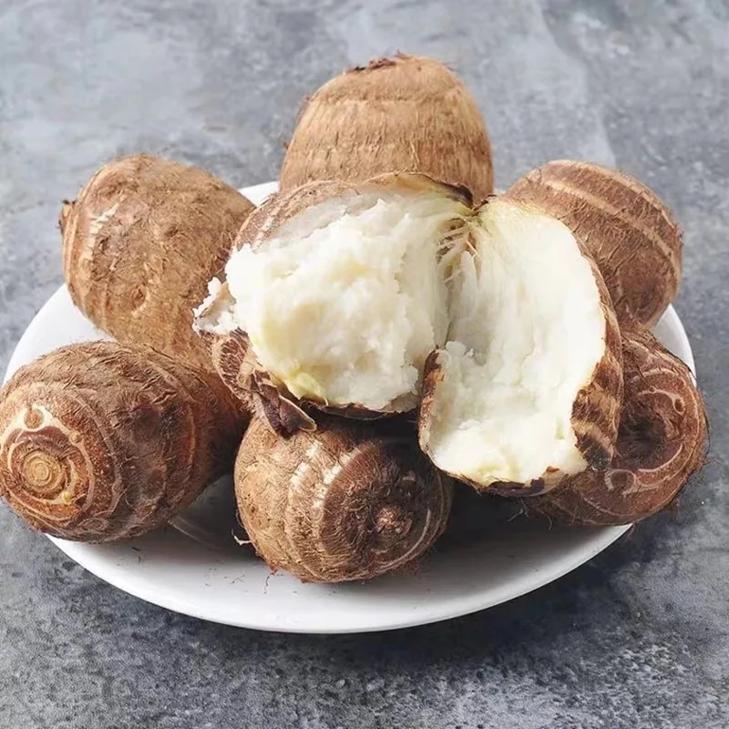 High Quality And Competitive Price Taro Style Organic Origin Type Shape ...