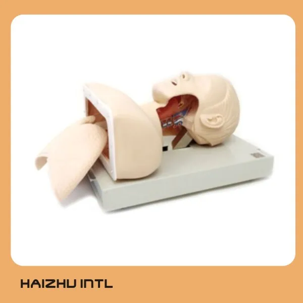 First Aid Training Airway Intubation Simulator,Tracheal Intuabtion ...