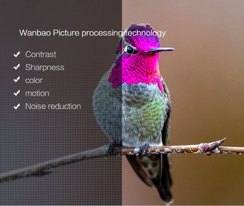 Ckd/skd Order Dvt-2/dvb-t2/s2 32 40 50 55 Inch Television Sets /4k ...