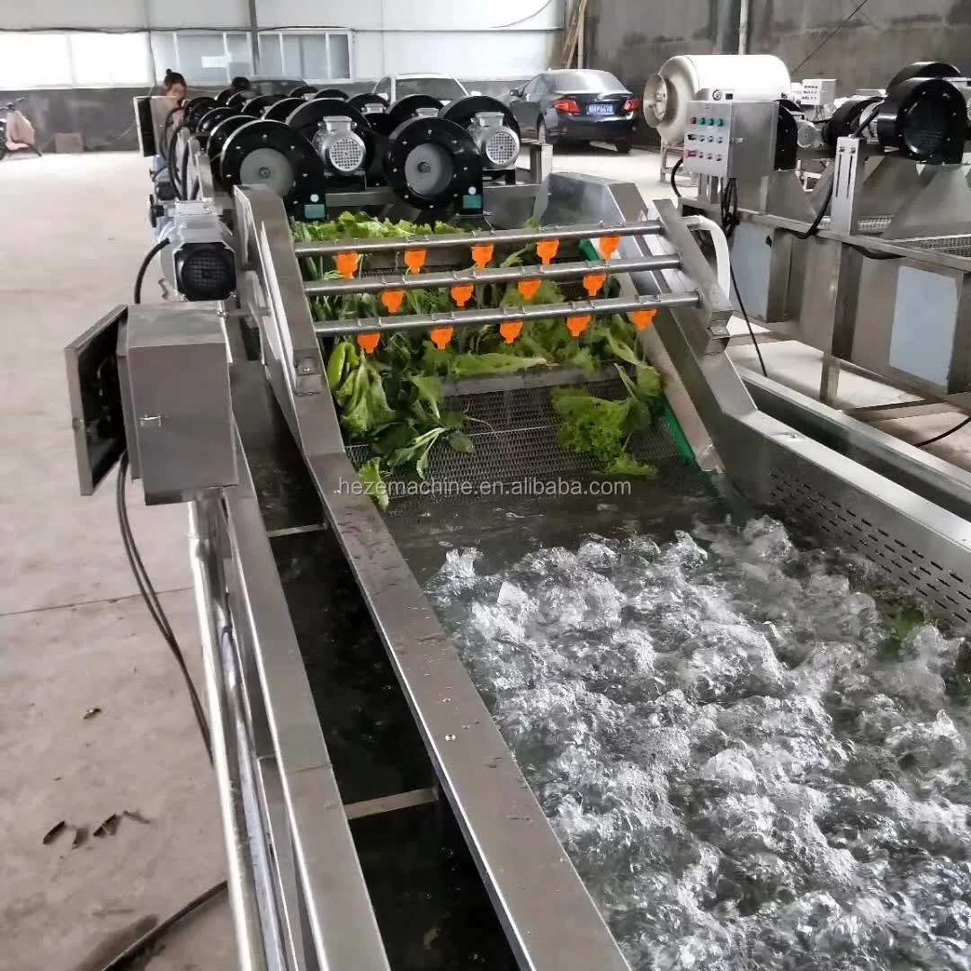 Commercial Continuous Water Spray Spinach Vegetable Ozone Bubble ...