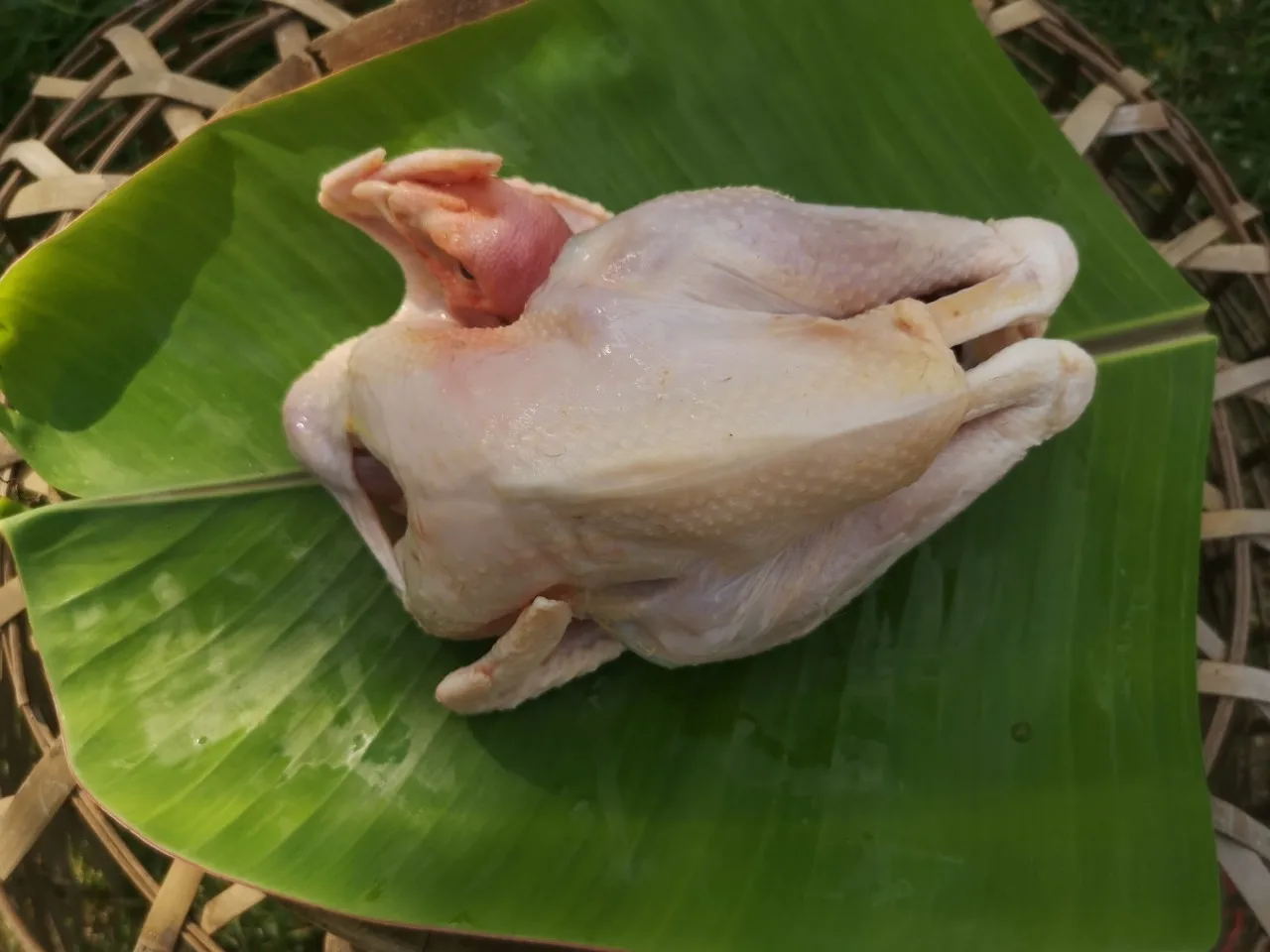 Wholesales Surin Chicken Fresh From Thailand Farm Thai Food Best Seller ...