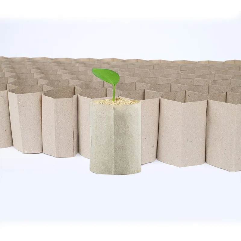 Eco Friendly Seedling Paper Chain Pots Biodegradable Foldable Seeding ...