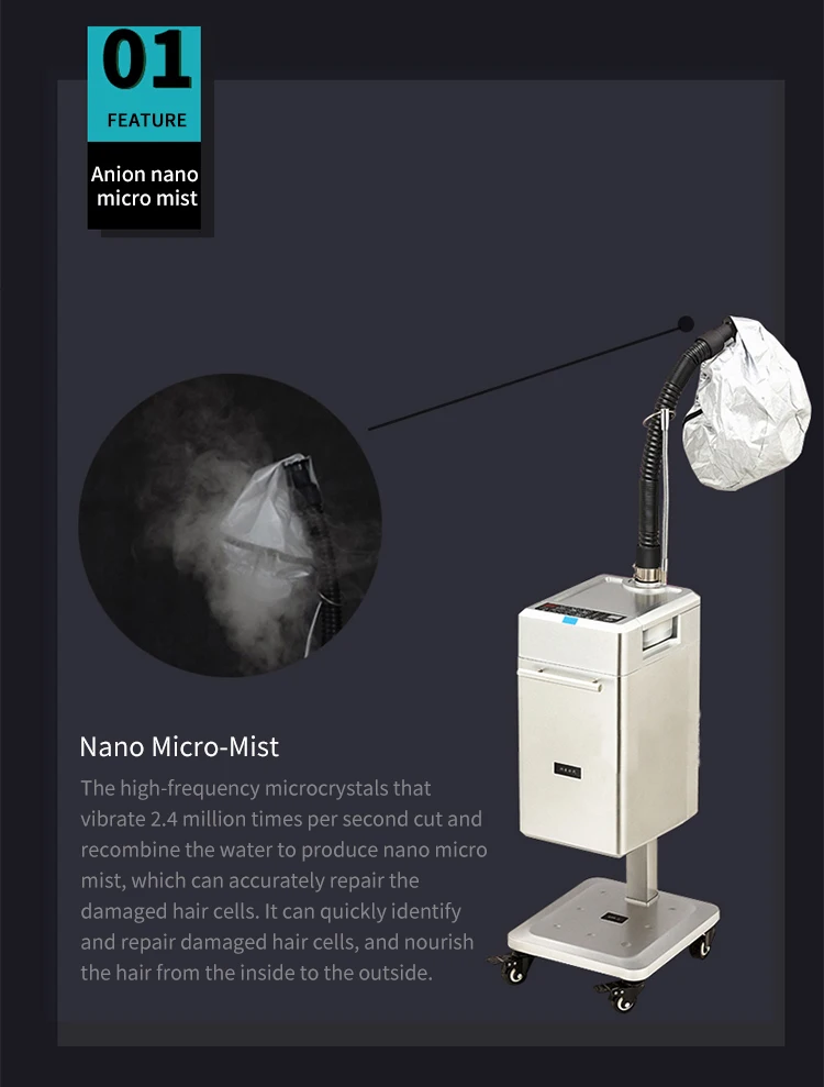 Factory Nano Micro Mist Hair Steamer Machine Beauty Salon Professional ...