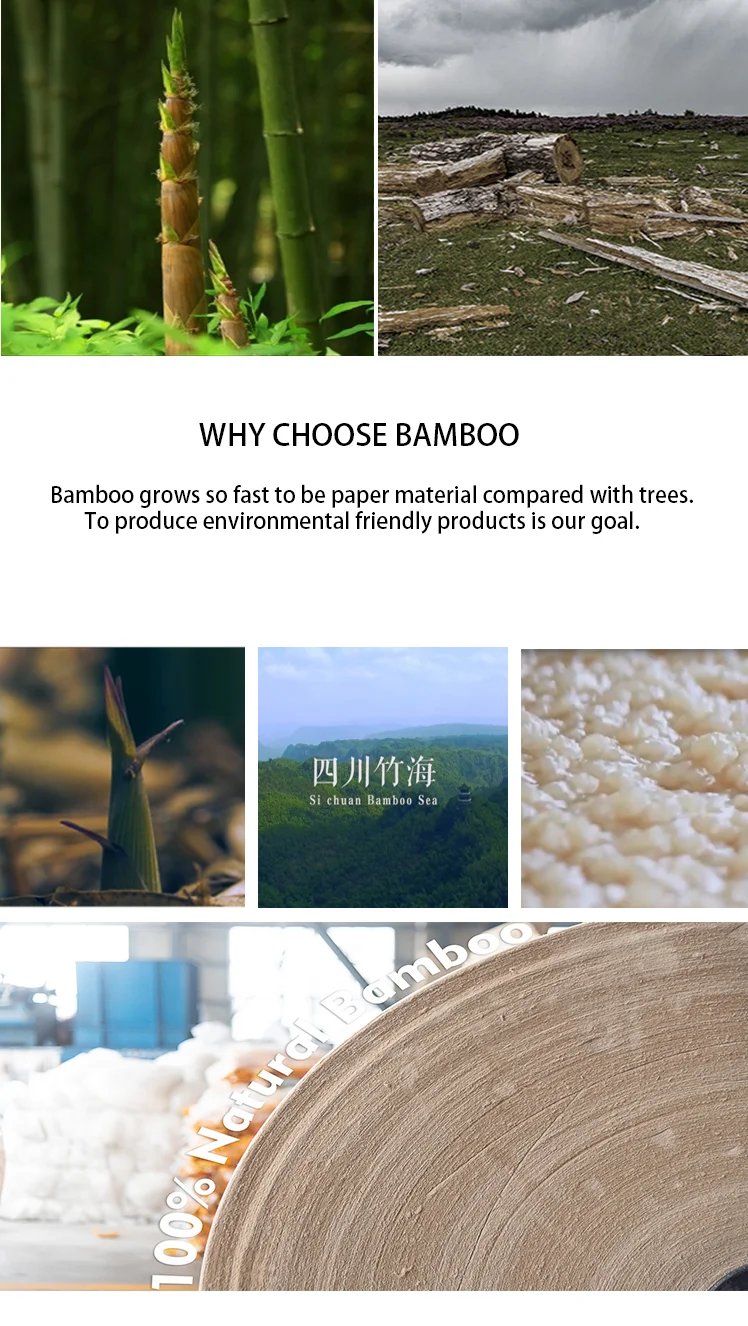 Natural Bamboo Pulp Toilet Tissue - Eco-Friendly & Soft