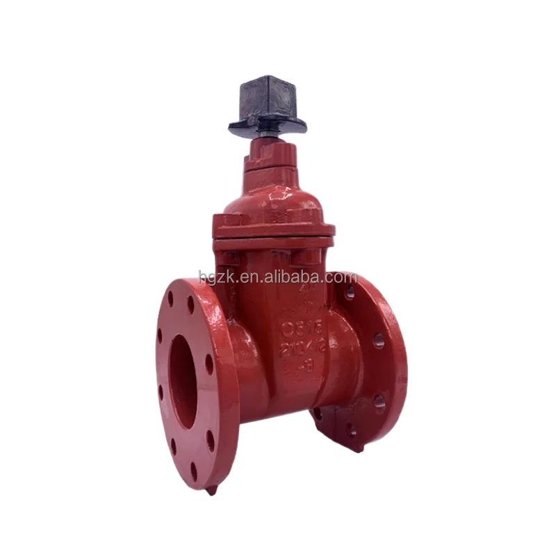 Seated Flanged Gate Valve Cast Iron 8" Inch 150 Fc 200 Rising Stem ...