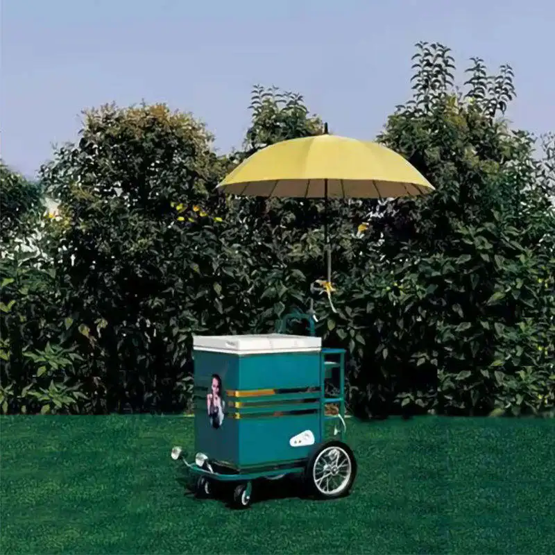 Ice Cream Handcart - Durable Stainless Steel Popsicle Cart