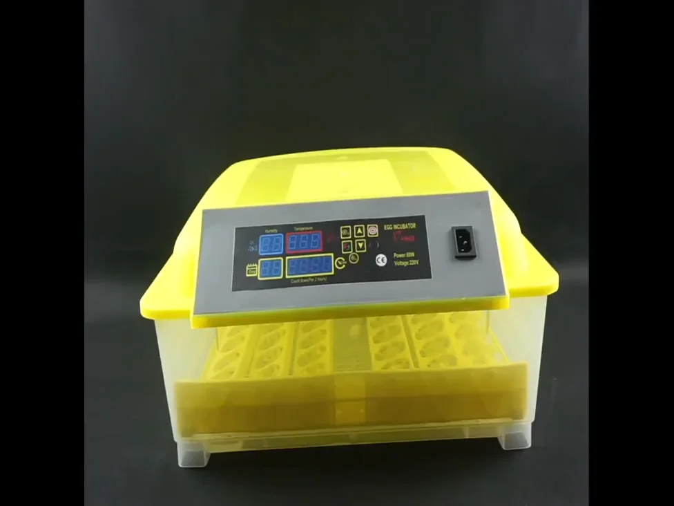 Hhd Automatic Battery Powered 48 Egg Incubator/hatching Machine/brooder ...