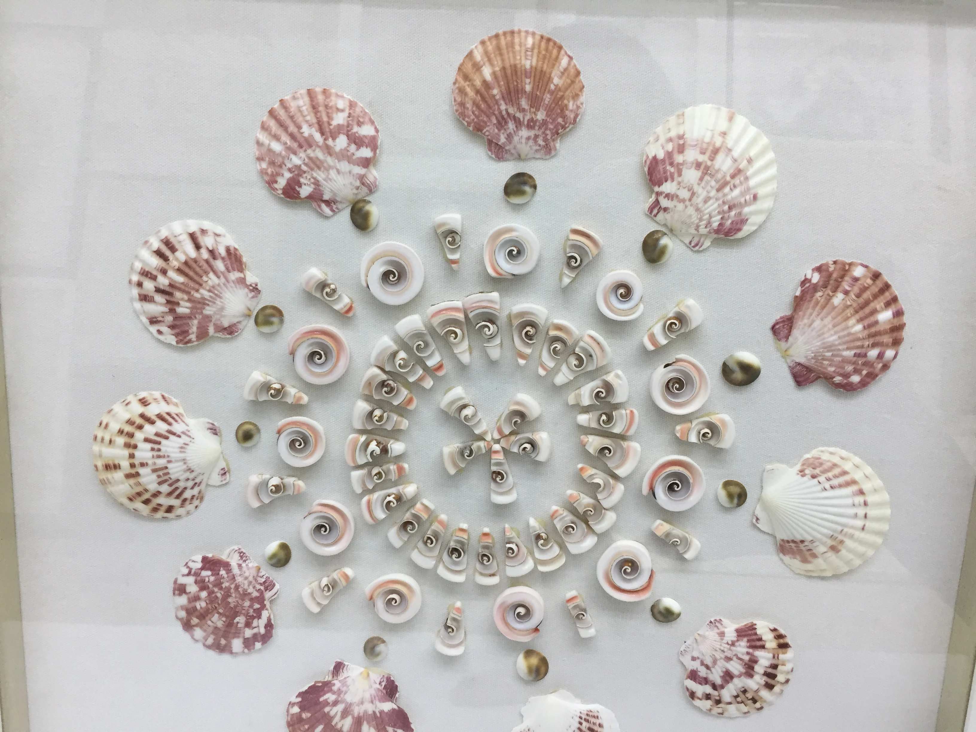 Modern Sea Shell Flowers Frames 3d Shadow Box Wall Art Decoration - Buy ...