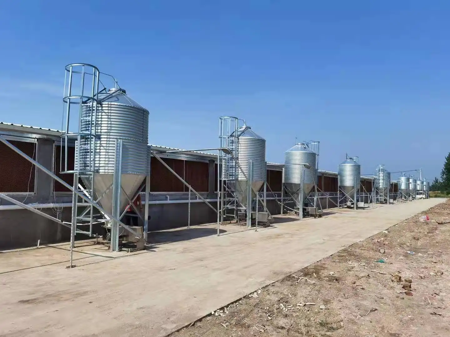 Grain Storage Feed Tower - Durable Silos for Animal Husbandry