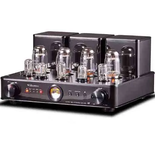 Willsenton R8 Tube Amplifier Guide: How to Choose & Use It