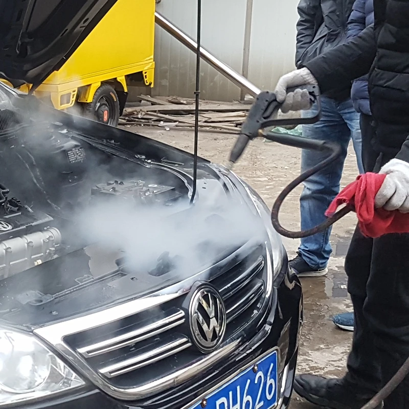 Lpg 및 전기 난방 더블 건 모바일 스팀 세차 기계 모바일 스팀 자동차 세탁기 Buy 스팀 세차 기계스팀 청소기휴대 스팀 자동차 세탁기 Product On