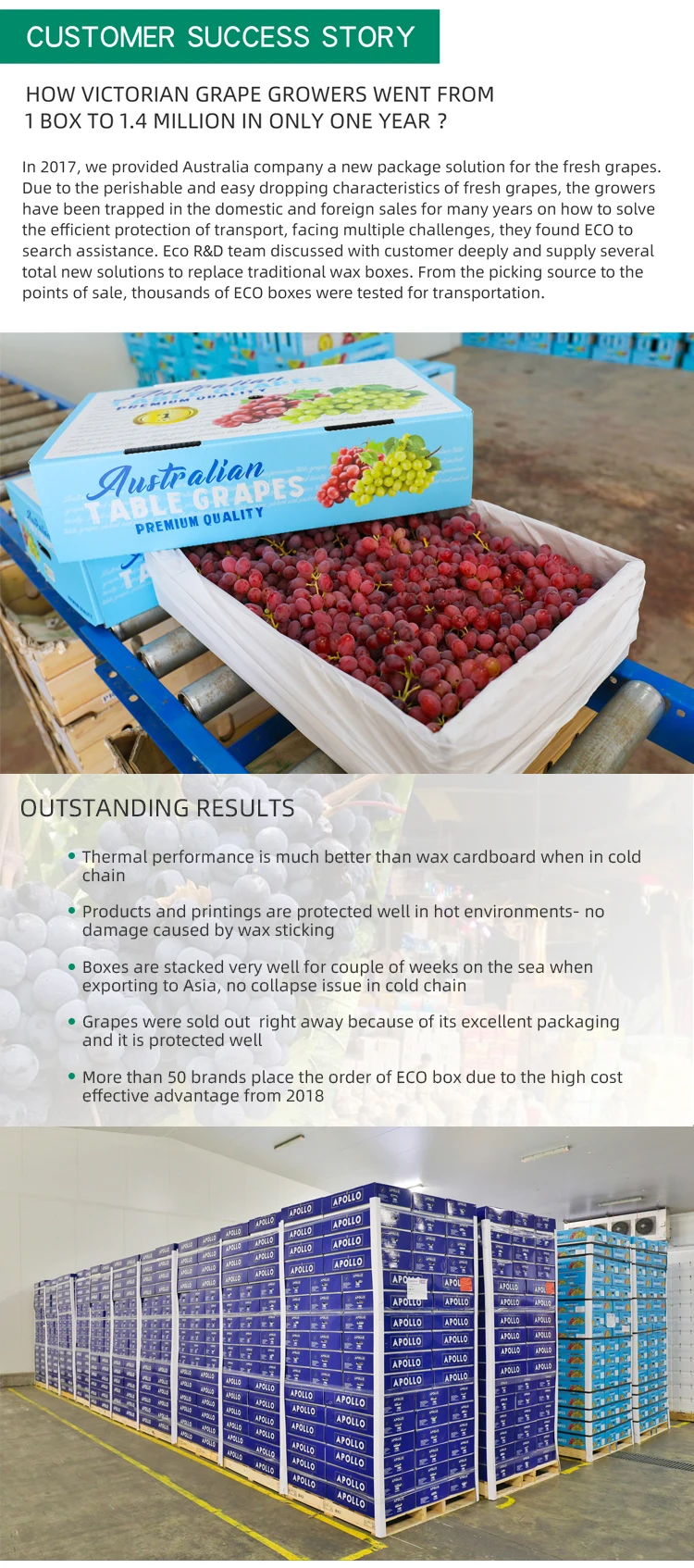 PE Box Oyster - Corrugated Plastic Box for Seafood Packaging