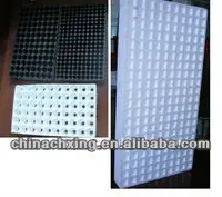 Customizable Styrofoam Fruit Box for Grape Shipping - Durable EPS Foam ...