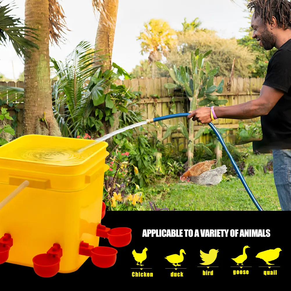 10L Plastic Automatic Chicken Drinkers - Efficient Watering