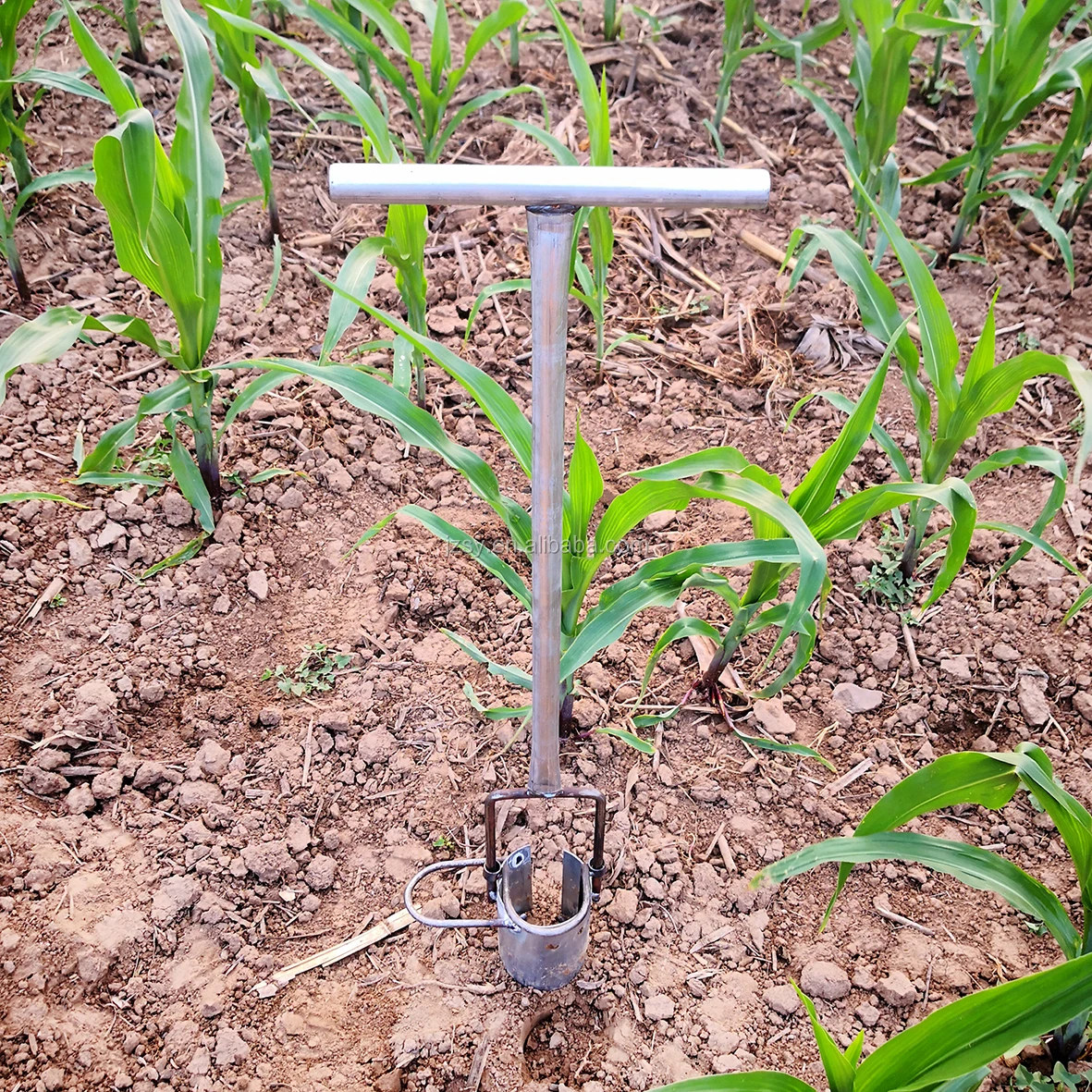 Agricultural Hand Soil Digger Transplanter/manual Maize Removal Soil ...