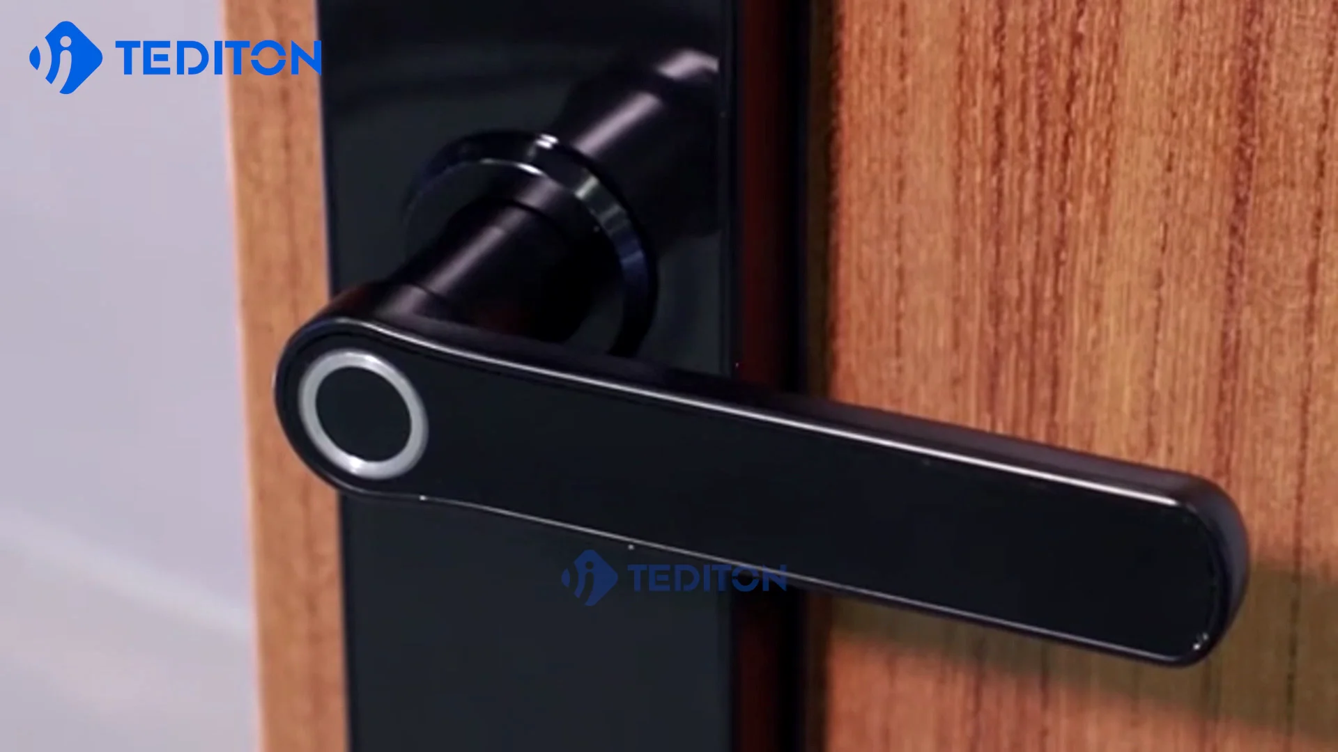 Tediton Fechadura Digital Smart Door Lock With Finger Print And Keys ...