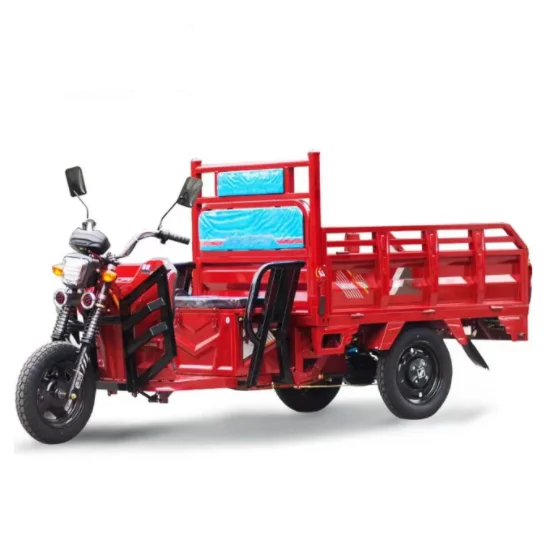 Heavy Duty Electric Cargo Vehicle 1500W High Speed Three Wheel Cargo Bike Truck Cargo Tricycle ...