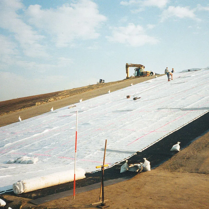 Soil Stabilizing Drainage Layer Geonet - Buy 3d Geonet,Drainage Net,6.0 ...