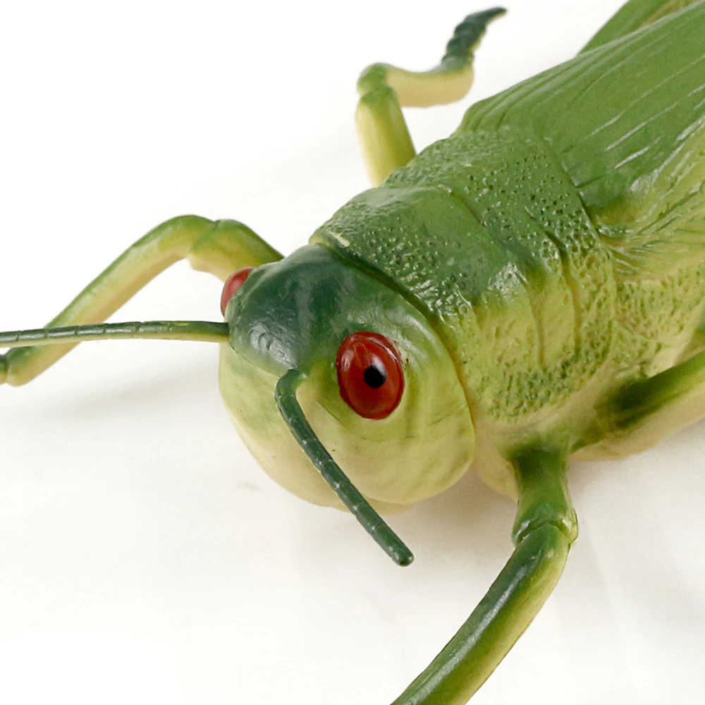 24cm Hollow Insect Figure Plastic Grasshopper Toy for Kids