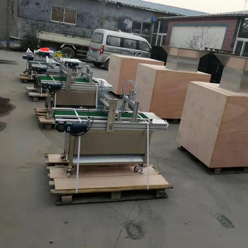 Tray Seeding Machine - Efficient and Precise Sowing