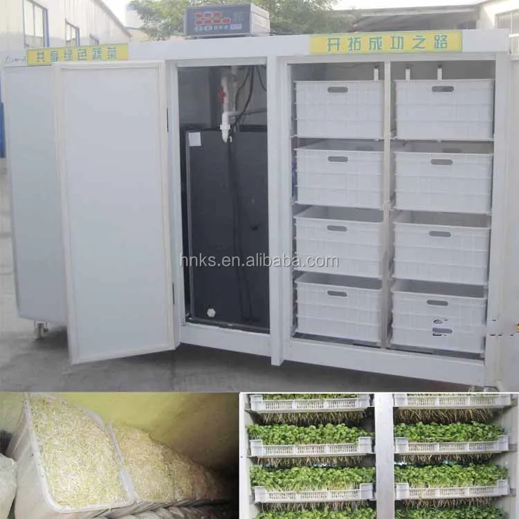 Bean Sprout Machine Mung Bean Sprout Machine - Buy Mung Bean Sprout ...