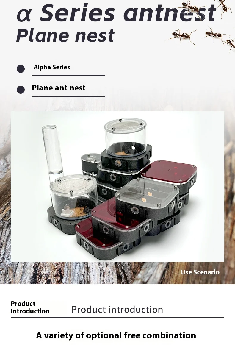 3D Printed Small and Large Rectangular Ant Nest Ecological Box for Ant ...