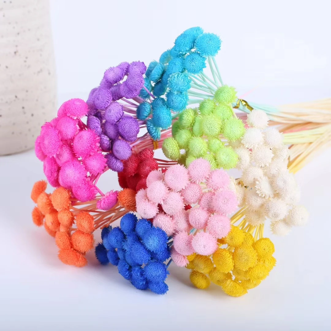 Hot Sale Dried Flower Billy Balls Dandelion Small Ball Preserved Mini ...