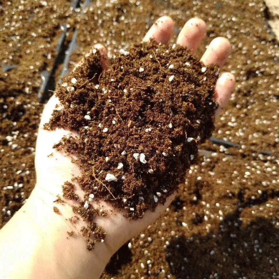 High Quality Coconut Shell Brick Coarse Nutrient Soil Orchid Flower ...