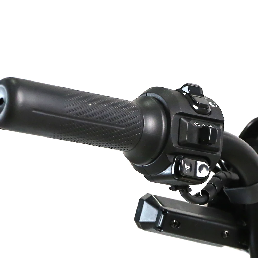 2024 Electric City Bike - 450W Step through Motorcycle