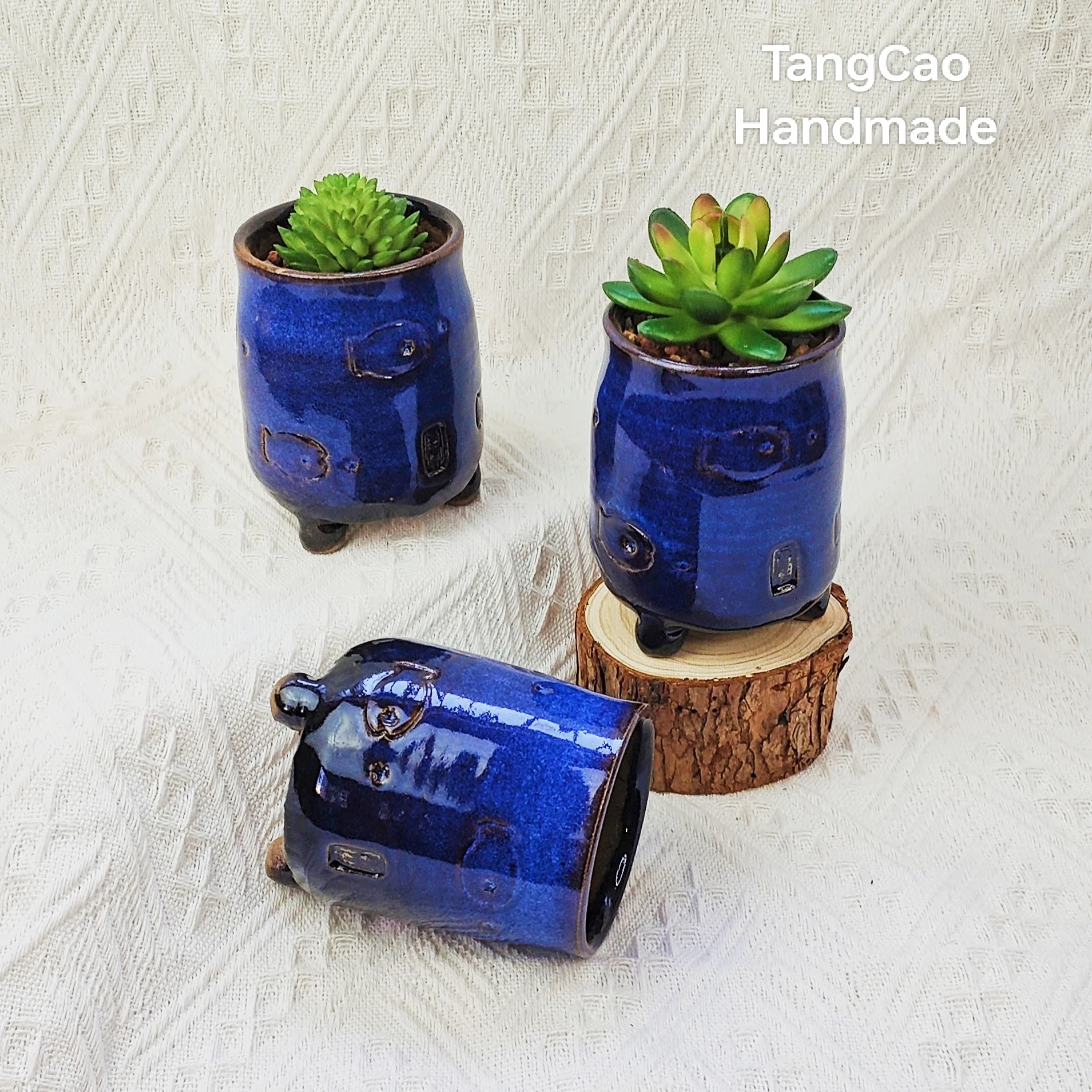 Tangcao Handmade Flowerpot Creative Cute Ceramic Fleshy Flower Pot ...