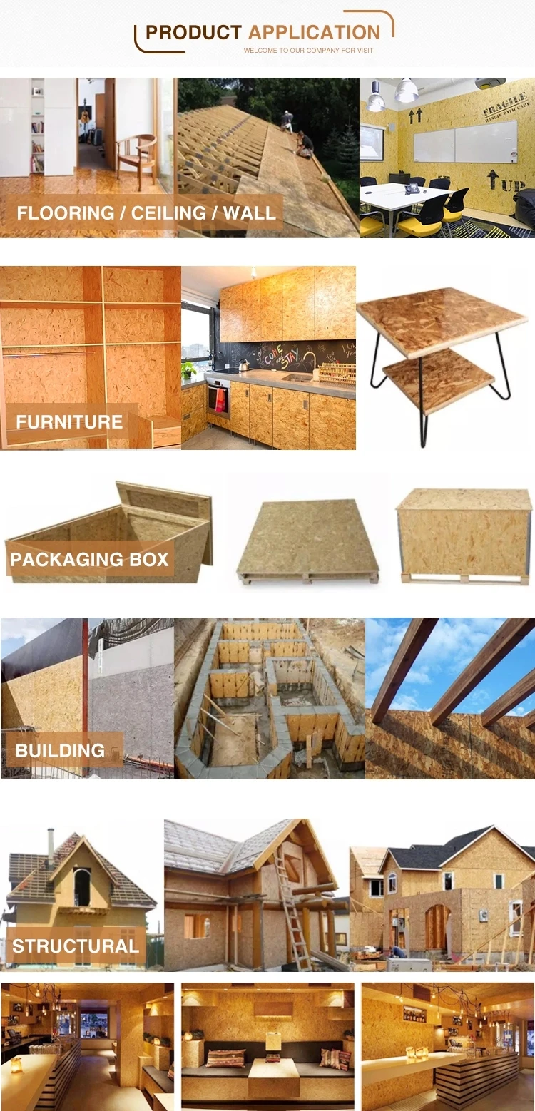 JAS F4 Stars 910x1820x9mm OSB for Japan Market - Quality & Service