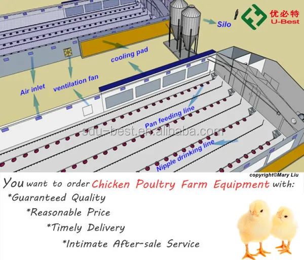 Hot Sale Ccs3 Steel Structure Tunnel Ventilated Poultry House Equipment ...