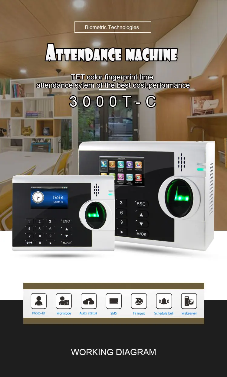 Biometric Time Recording Fingerprint Time Attendance System With Free ...